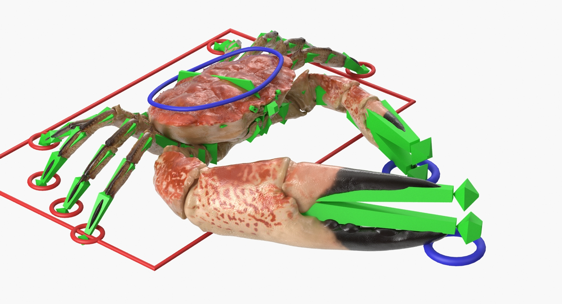 3D Rigged Crabs Model - TurboSquid 1183994