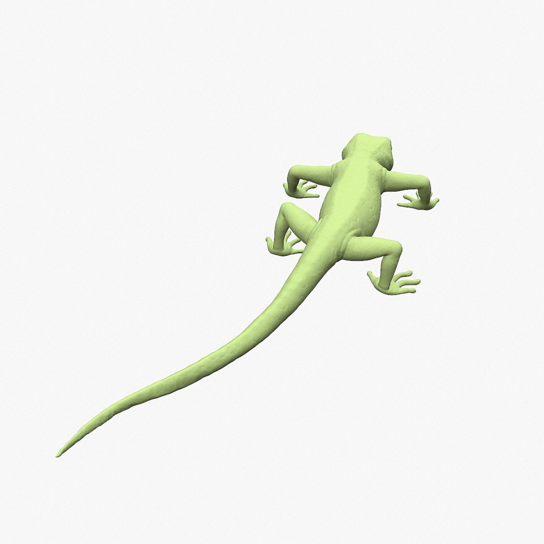 3D Lizard Model - TurboSquid 1261694