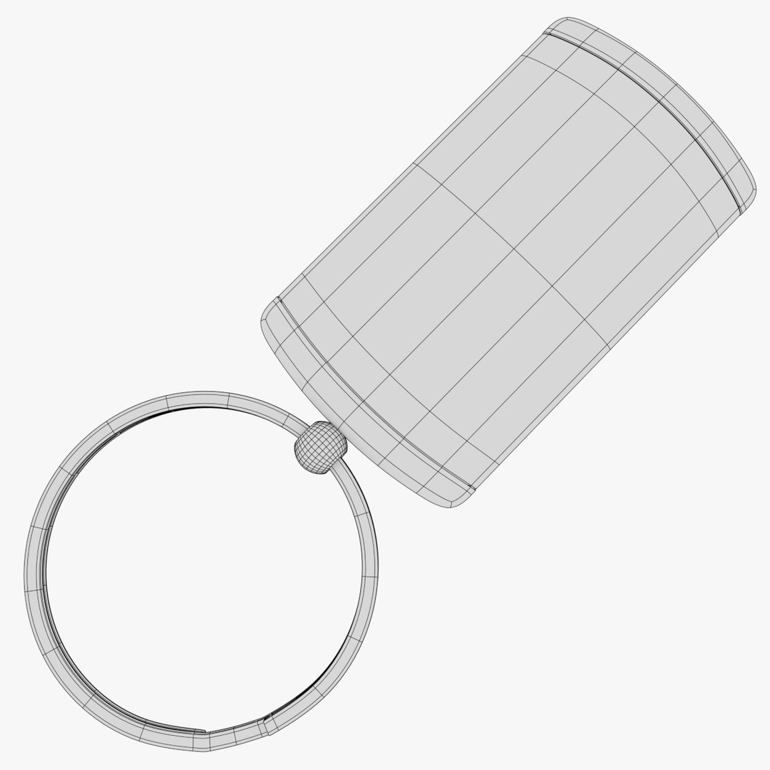 3d keyring ring keys 2 model