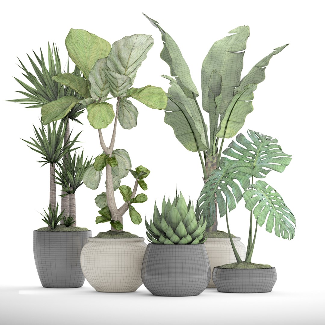 3D Plants - TurboSquid 1167019