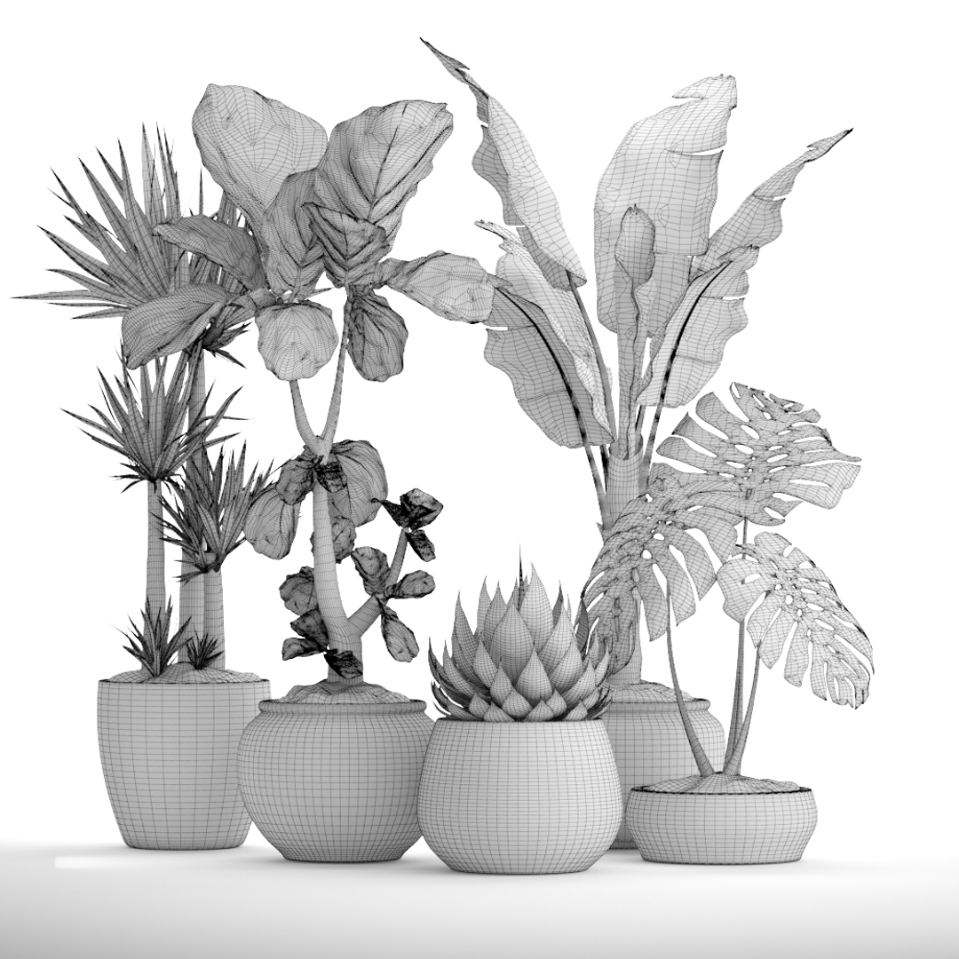 3D plants - TurboSquid 1167019