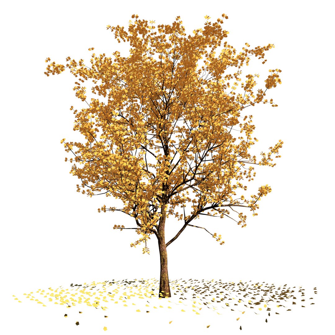 Flowering pink and yellow trees 3D - TurboSquid 2141893