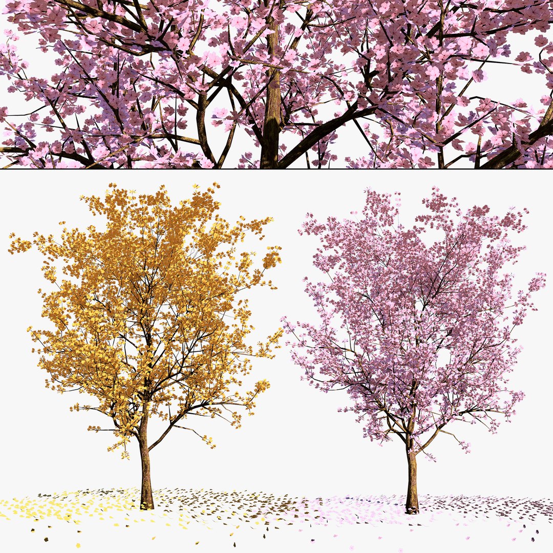 Flowering pink and yellow trees 3D - TurboSquid 2141893