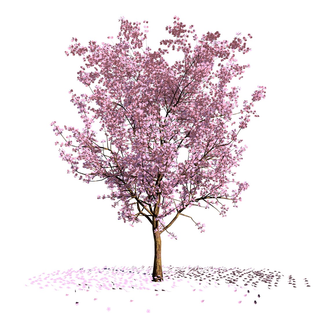 Flowering pink and yellow trees 3D - TurboSquid 2141893