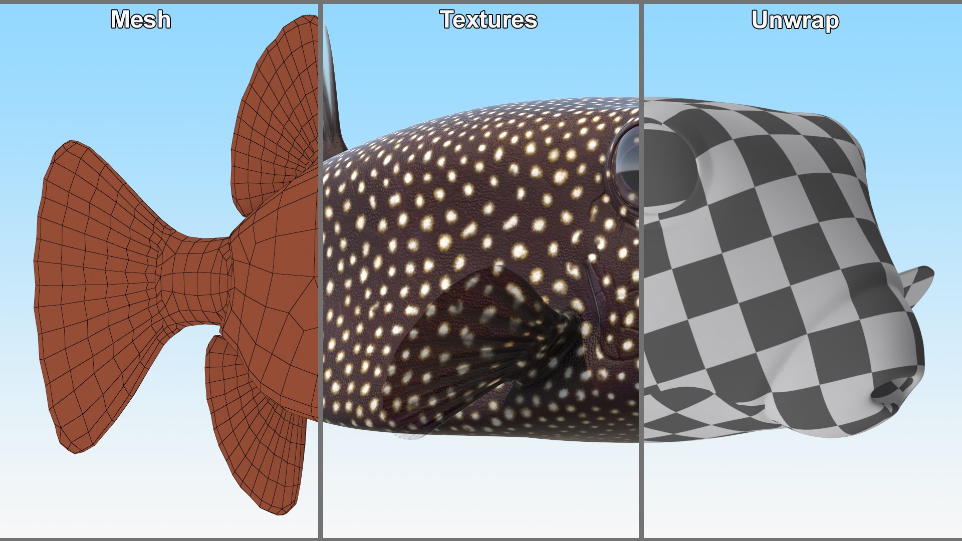 3D Ostracion Meleagris Fish Brown Rigged For Maya Model - TurboSquid ...