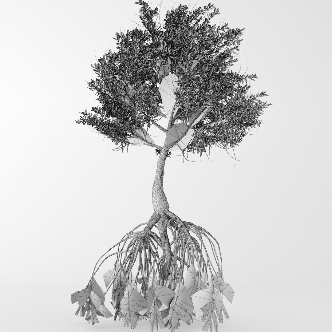 3D Model Mangrove Tree - TurboSquid 1337334