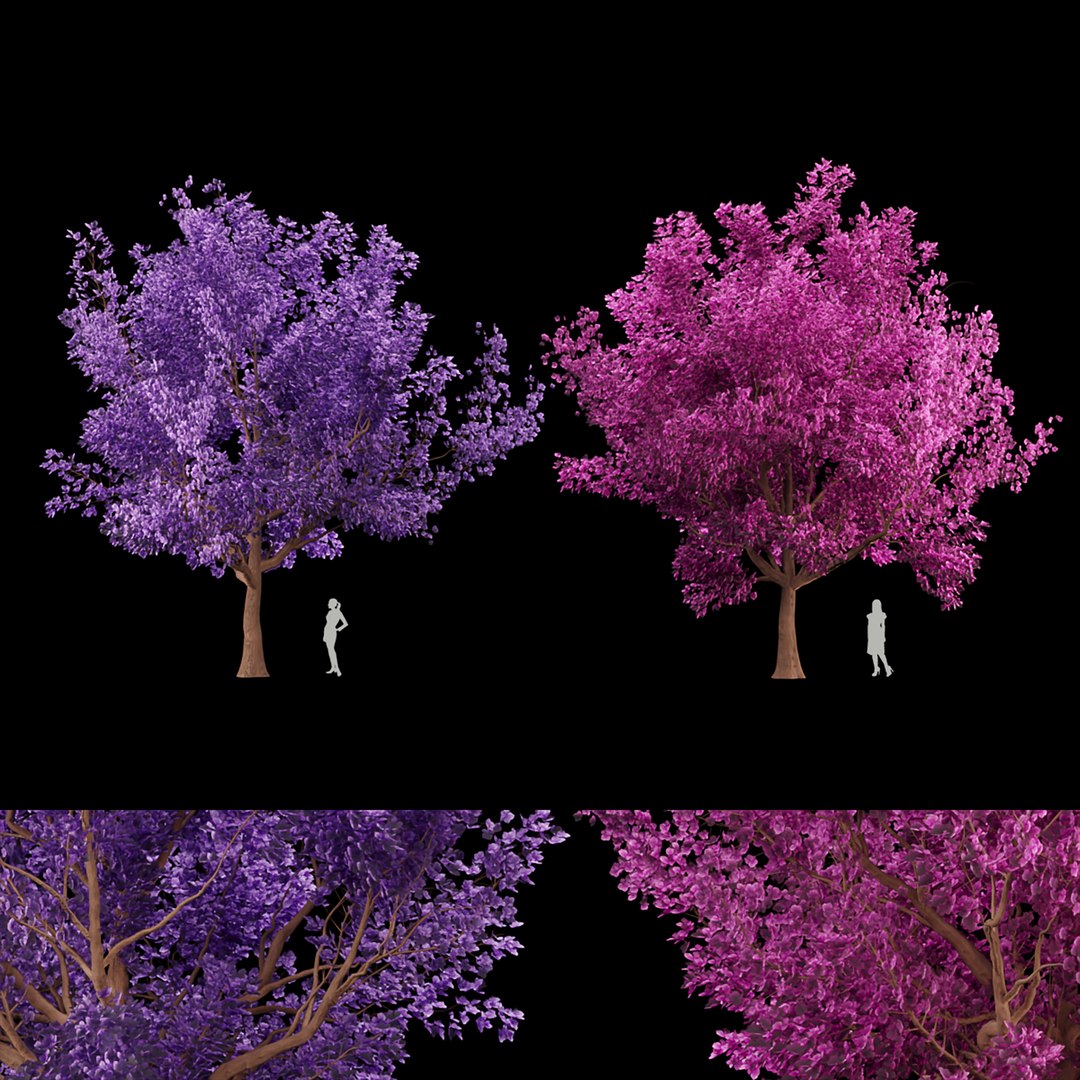 Cherry Trees Vol 5 3D Model - TurboSquid 1946987