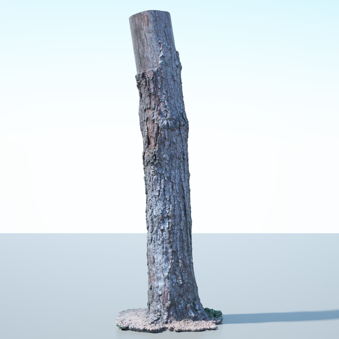Tree Trunk - Model - TurboSquid 1442617
