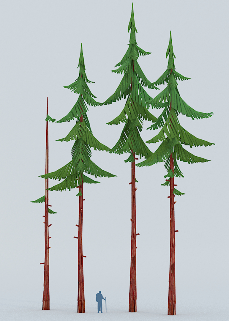 Cartoon Forest Spruce Model - TurboSquid 1324760