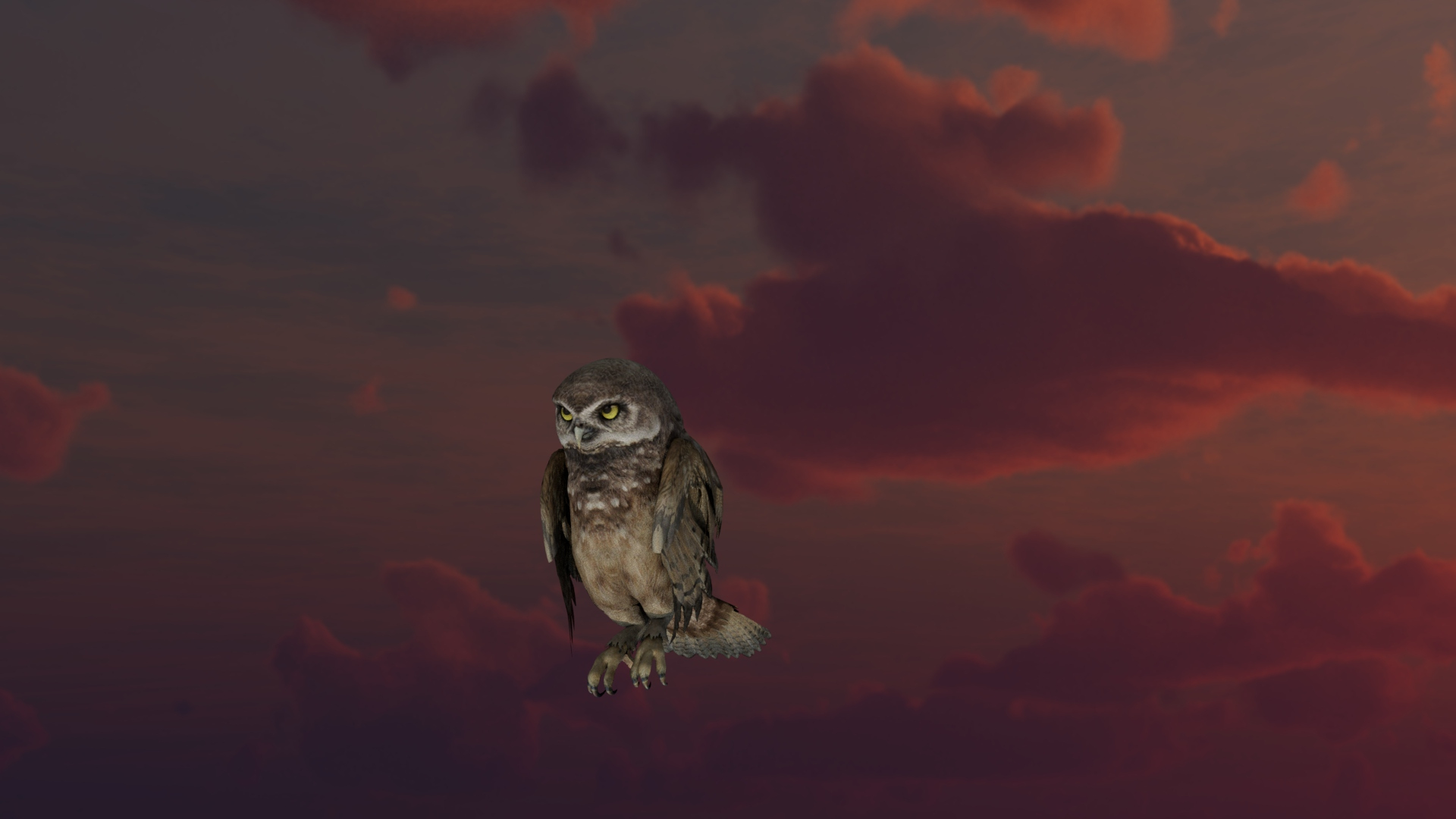 3D model Owl Animated - TurboSquid 2091683
