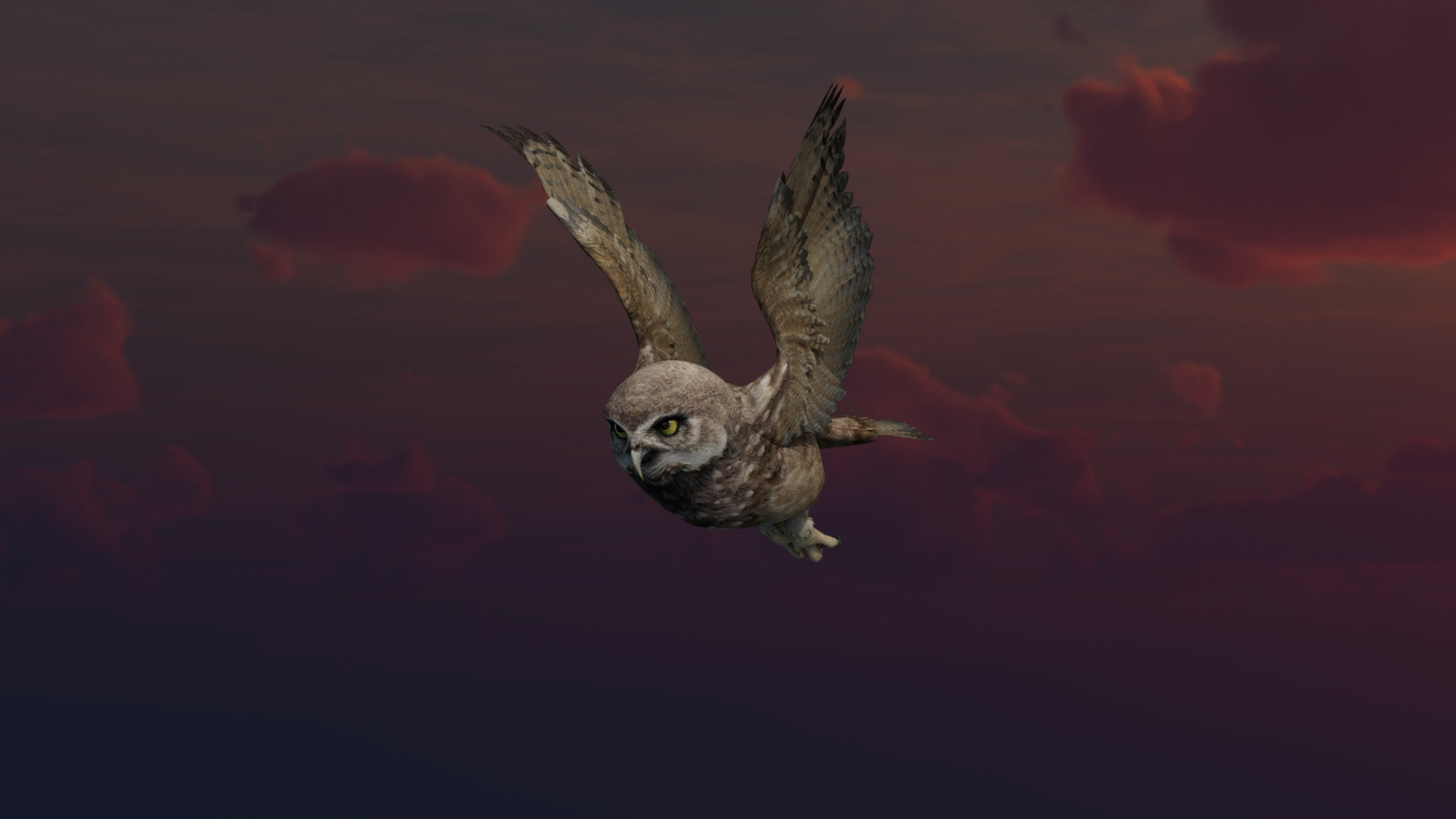 3D model Owl Animated - TurboSquid 2091683