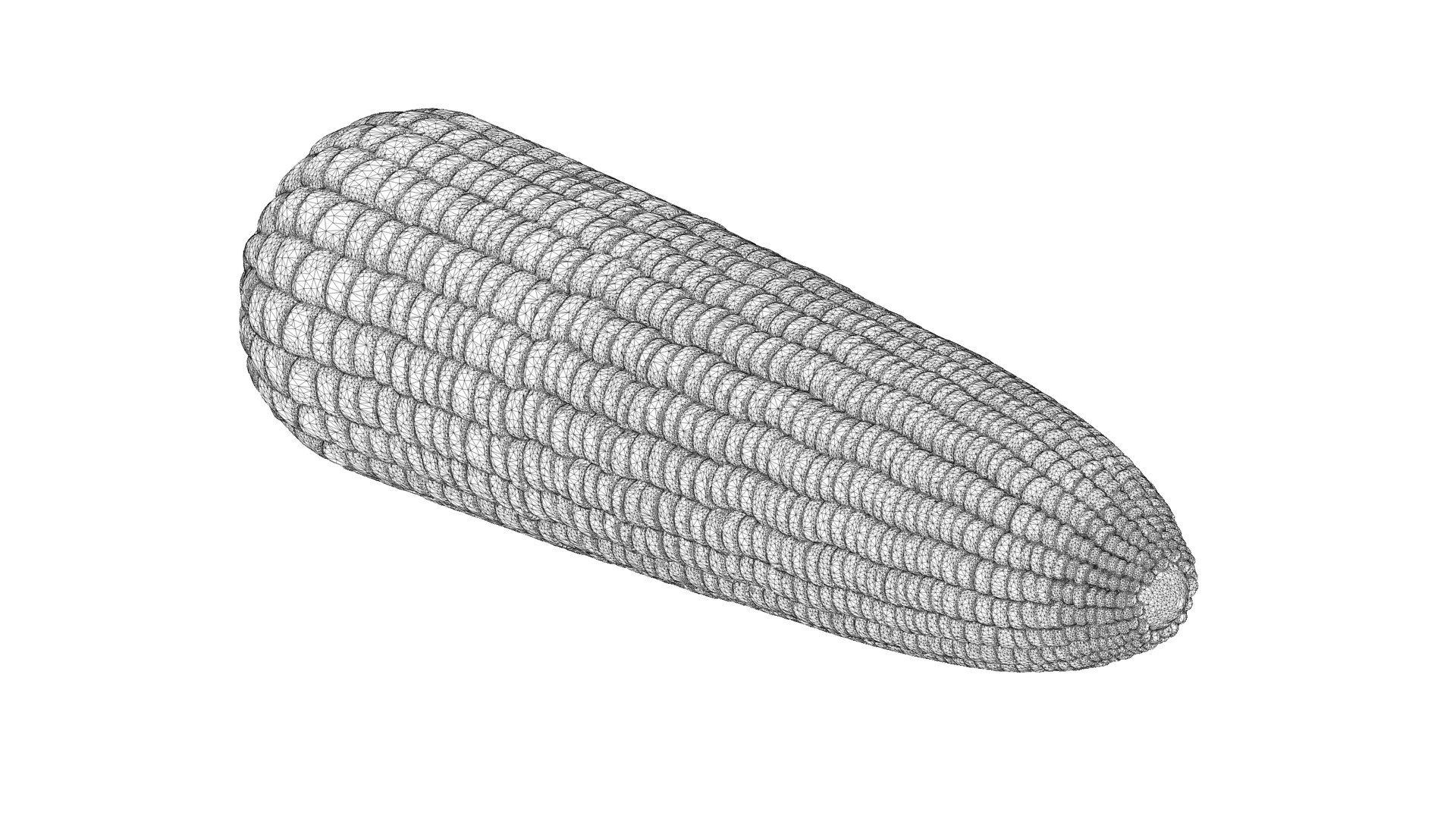 Maize For 3D Printing 3D Model - TurboSquid 2284388