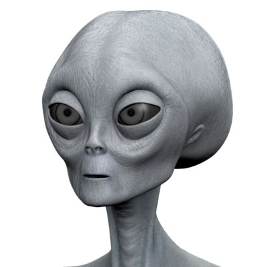 Grey Alien 3d Model