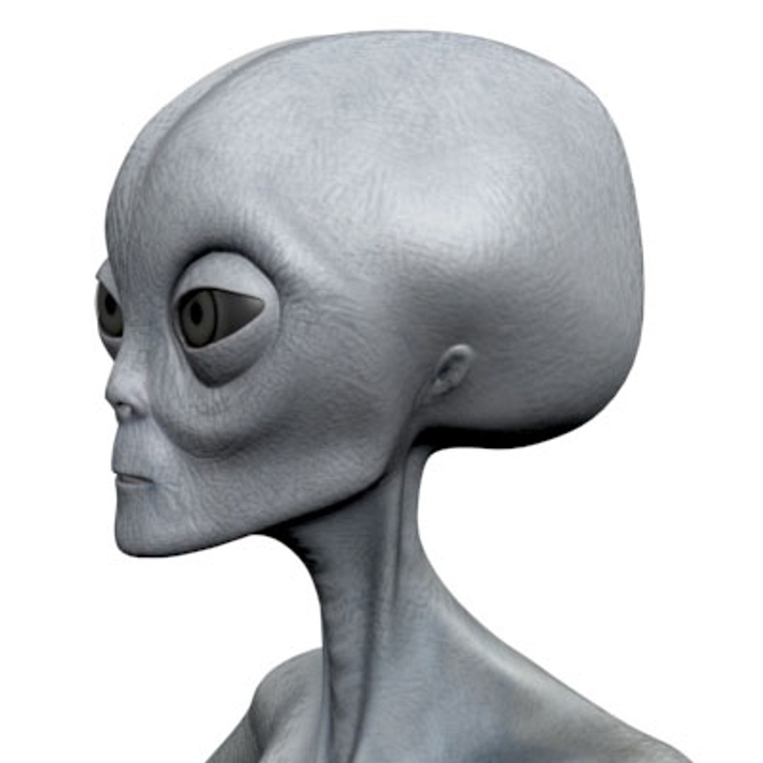 Grey Alien 3d Model