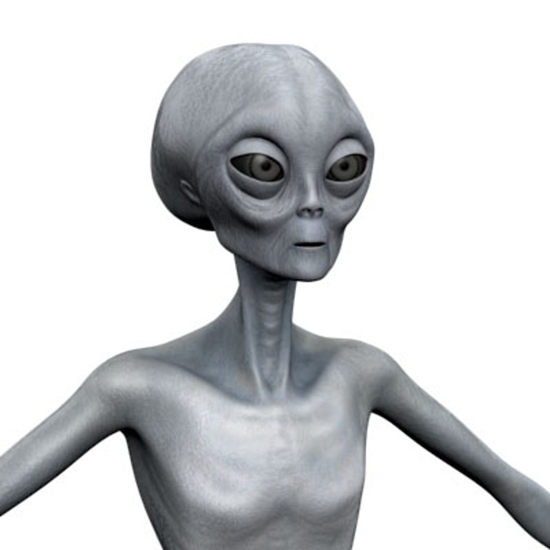 Grey Alien 3d Model
