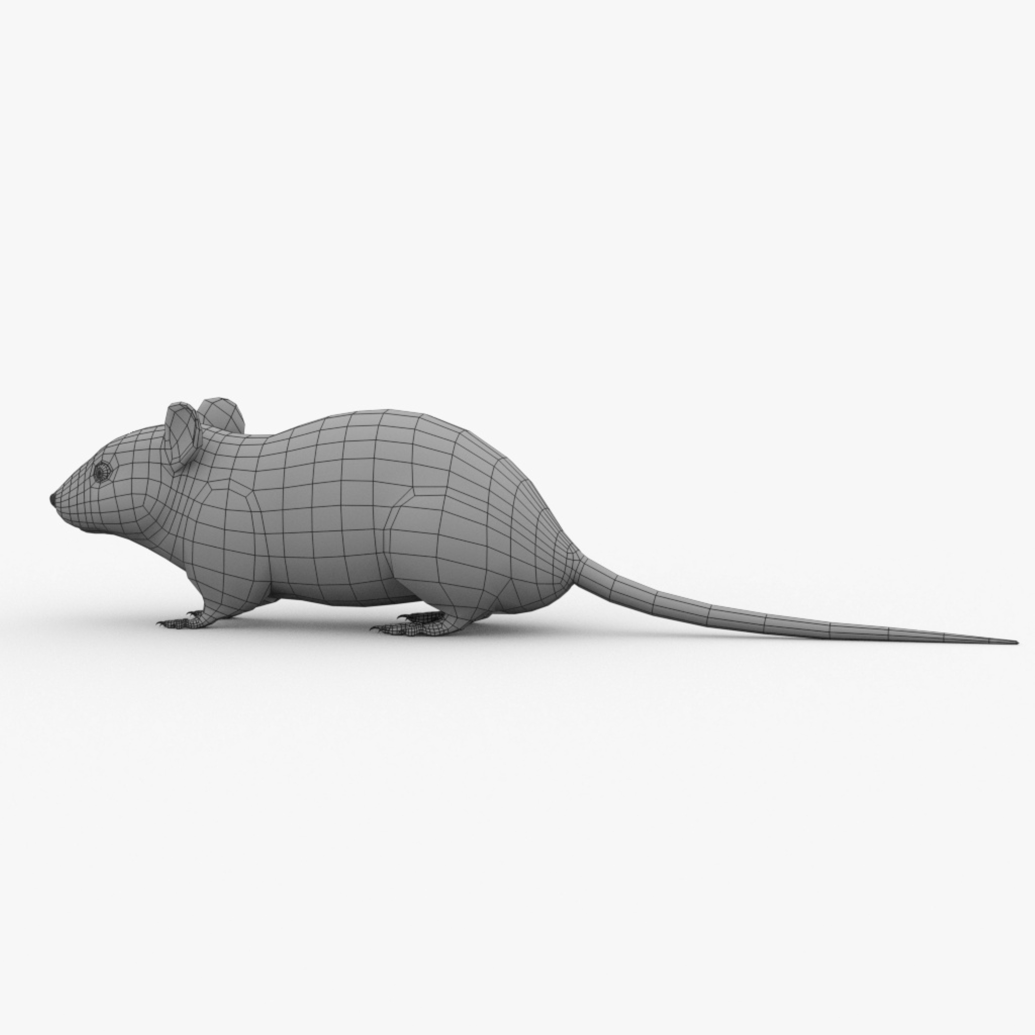 modelo 3d mouse basemesh - TurboSquid 2007132