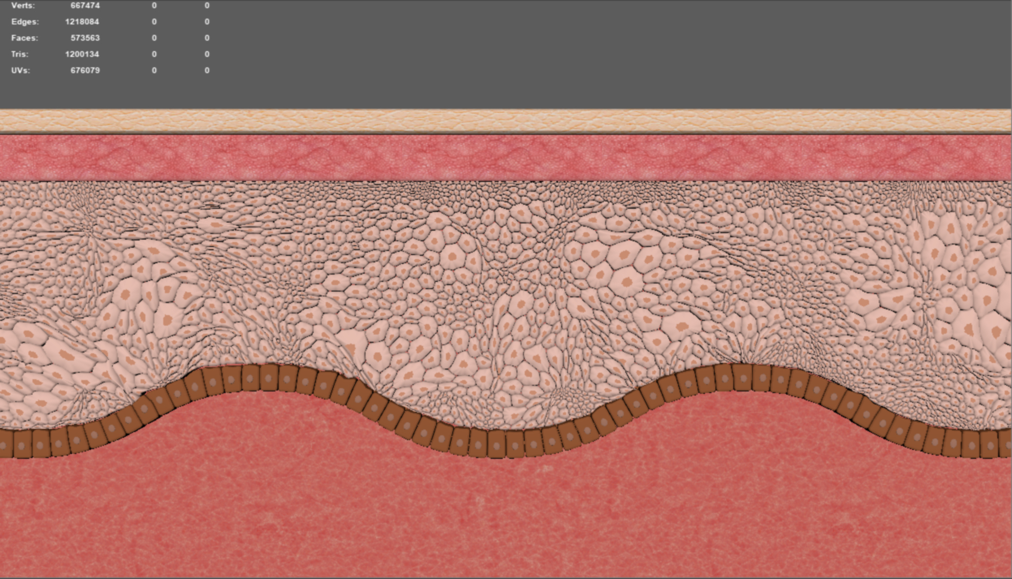 modelo 3d Capa de piel Modelo 3D saludable - TurboSquid 1575443