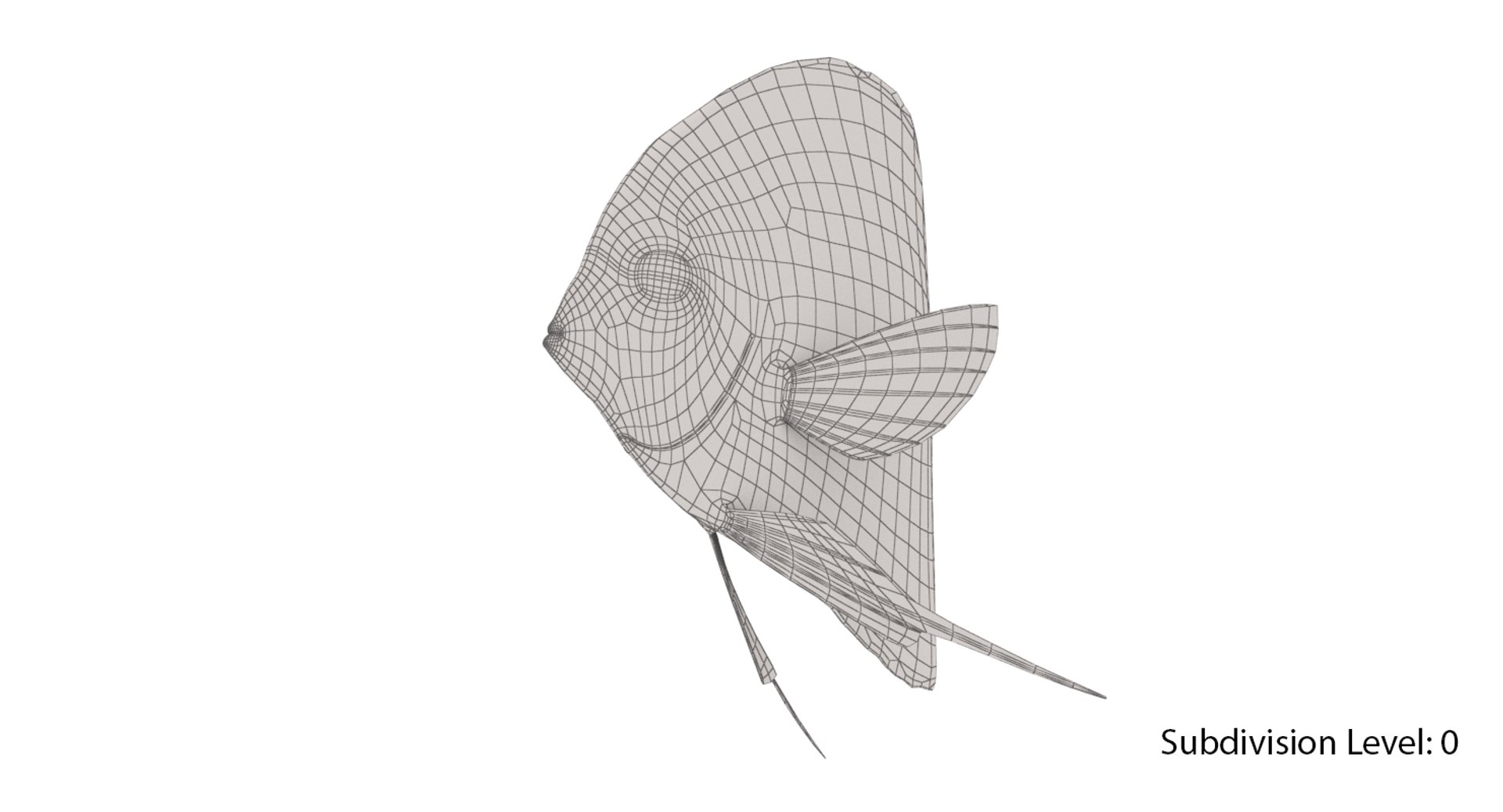 3D Discus Fish Animation - TurboSquid 1286460