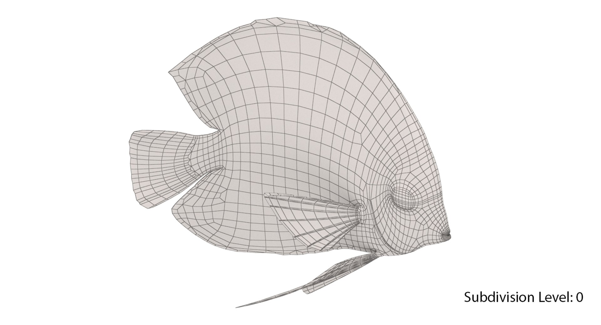 3D Discus Fish Animation - TurboSquid 1286460