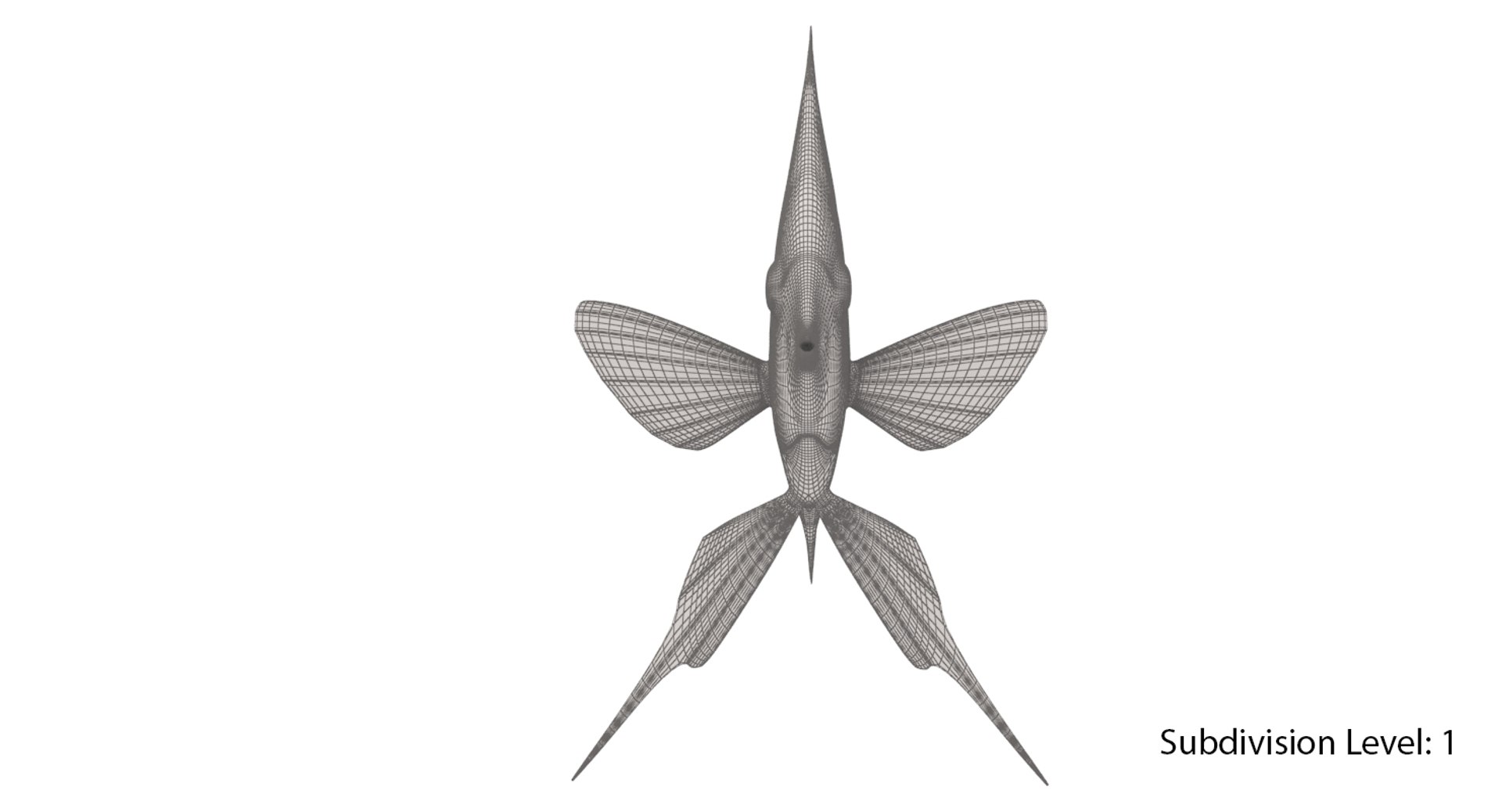 3D Discus Fish Animation - TurboSquid 1286460