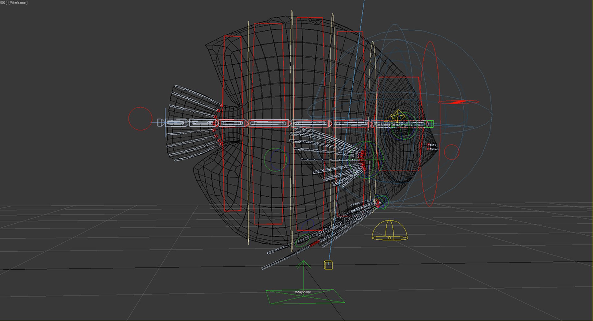3D Discus Fish Animation - TurboSquid 1286460