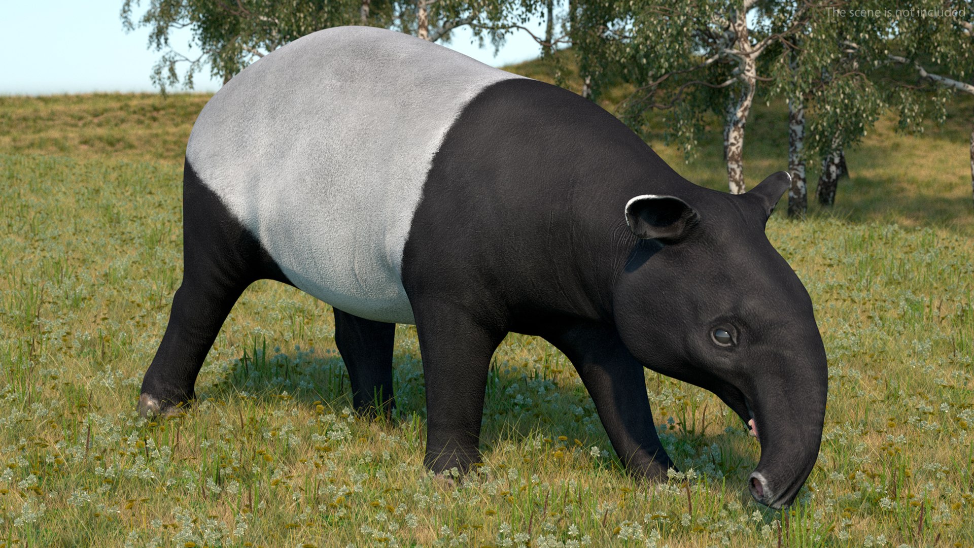 3D Tapir Rigged model - TurboSquid 1930115