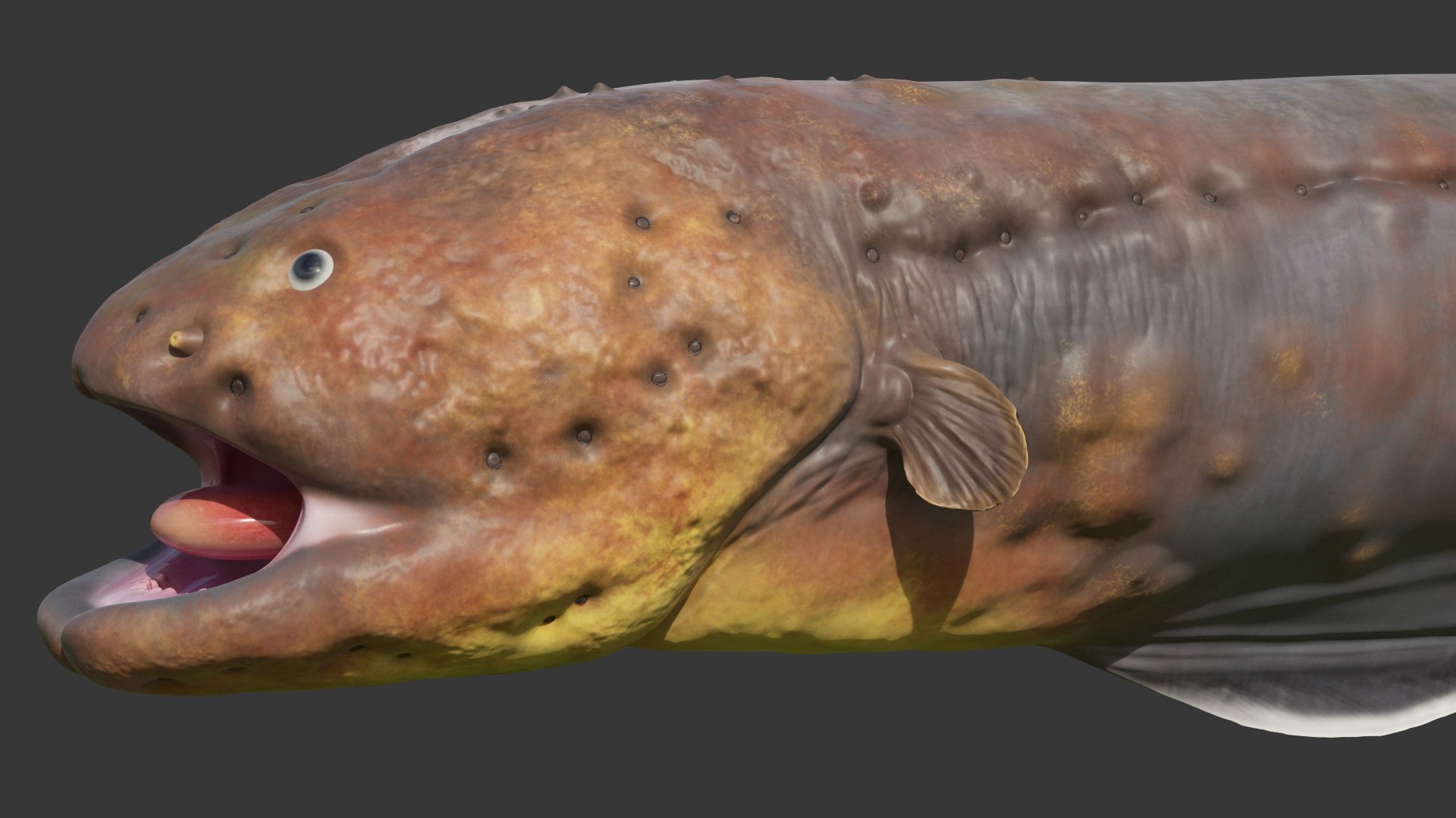 3D Electric Eel - TurboSquid 1486494