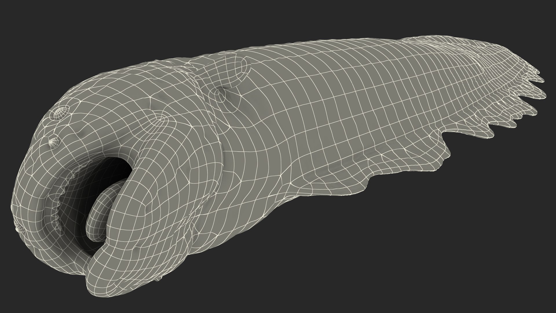 3D electric eel - TurboSquid 1486494