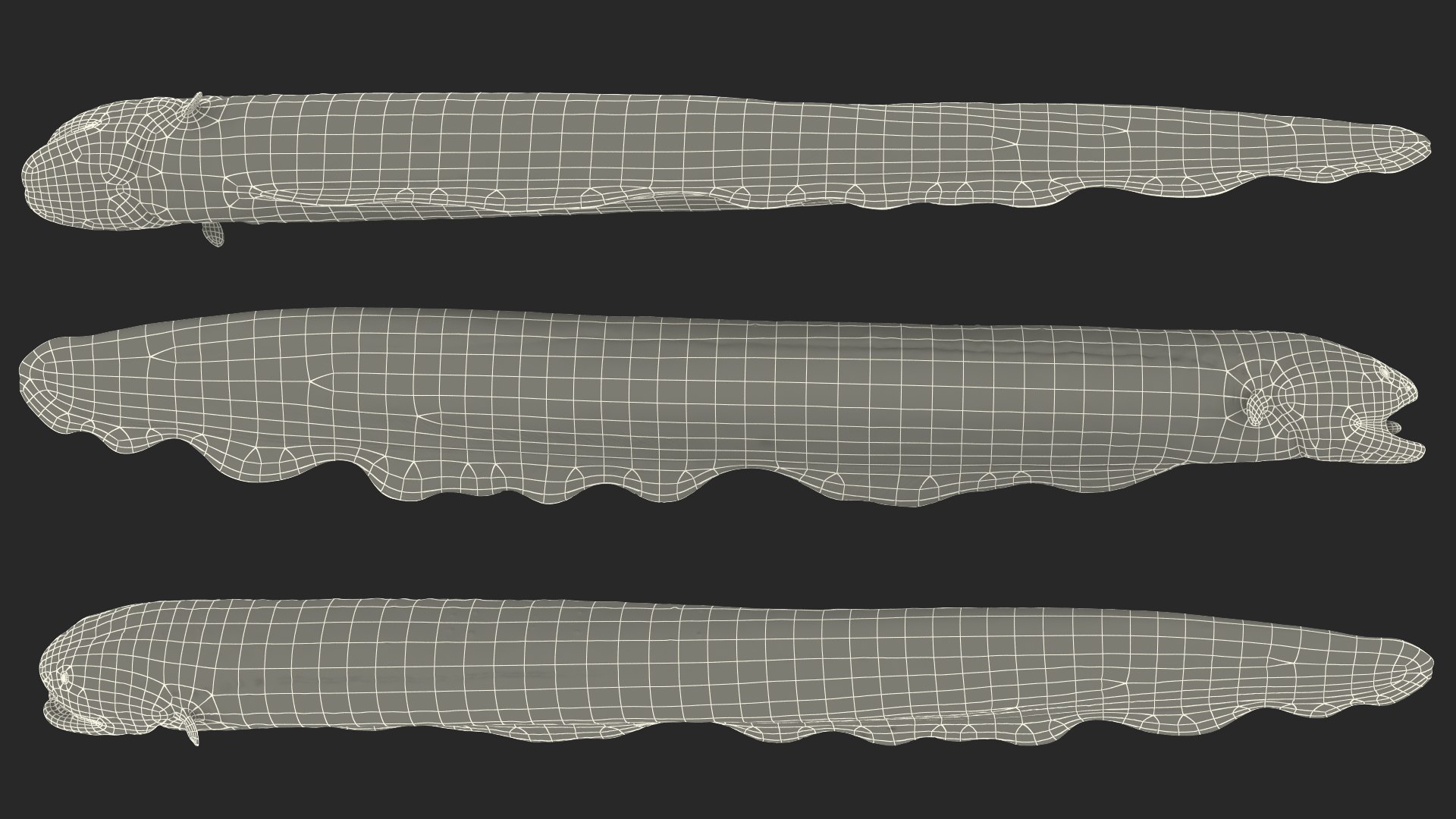 3D electric eel - TurboSquid 1486494