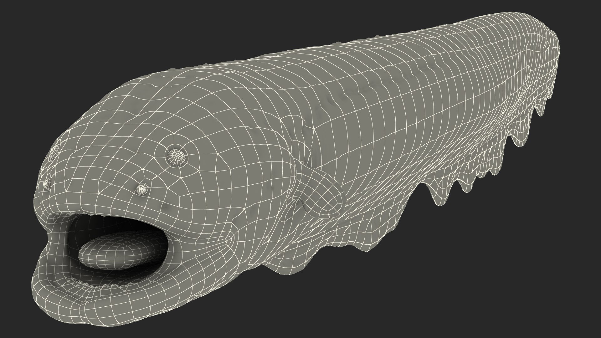3D electric eel - TurboSquid 1486494