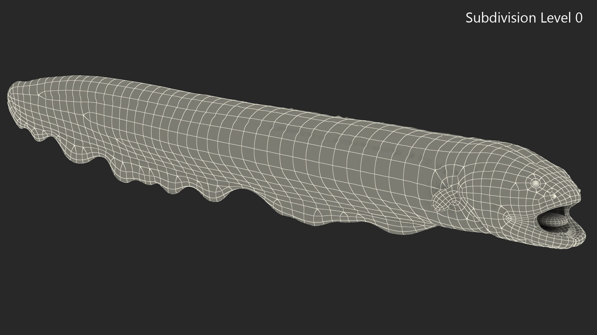 3D Electric Eel - TurboSquid 1486494
