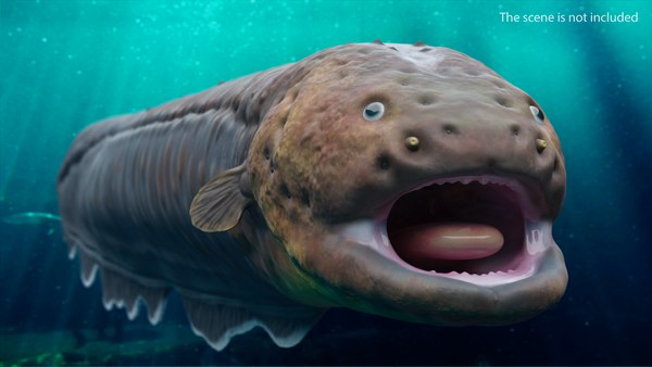 3D electric eel - TurboSquid 1486494