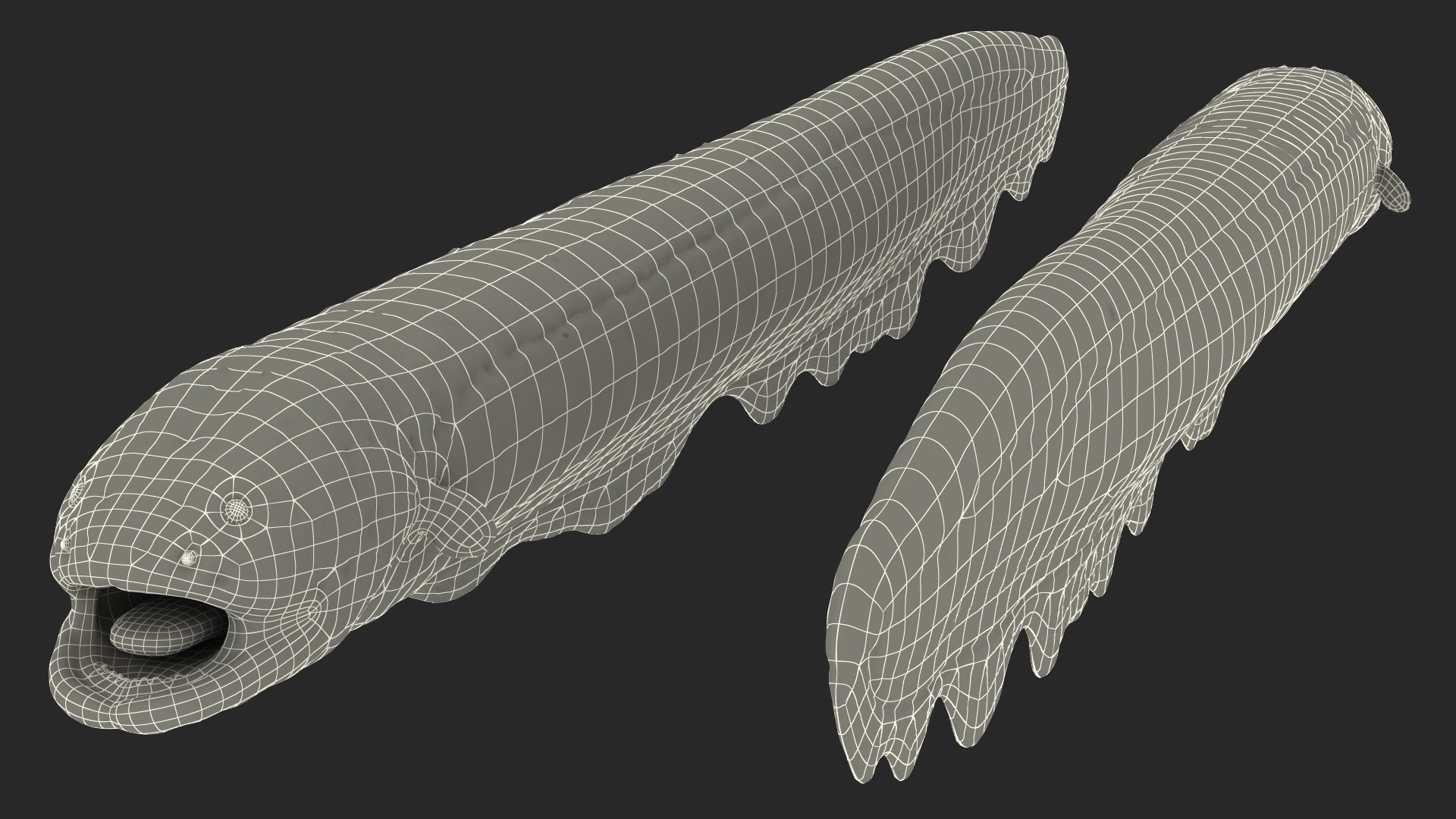 3D electric eel - TurboSquid 1486494