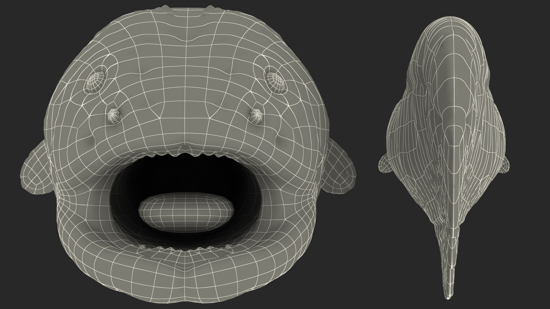 3D electric eel - TurboSquid 1486494