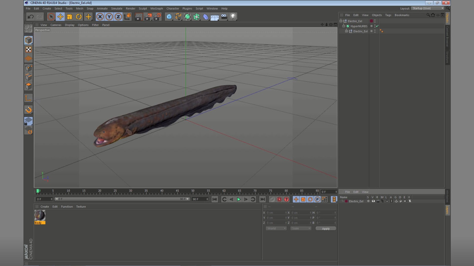 3D electric eel - TurboSquid 1486494