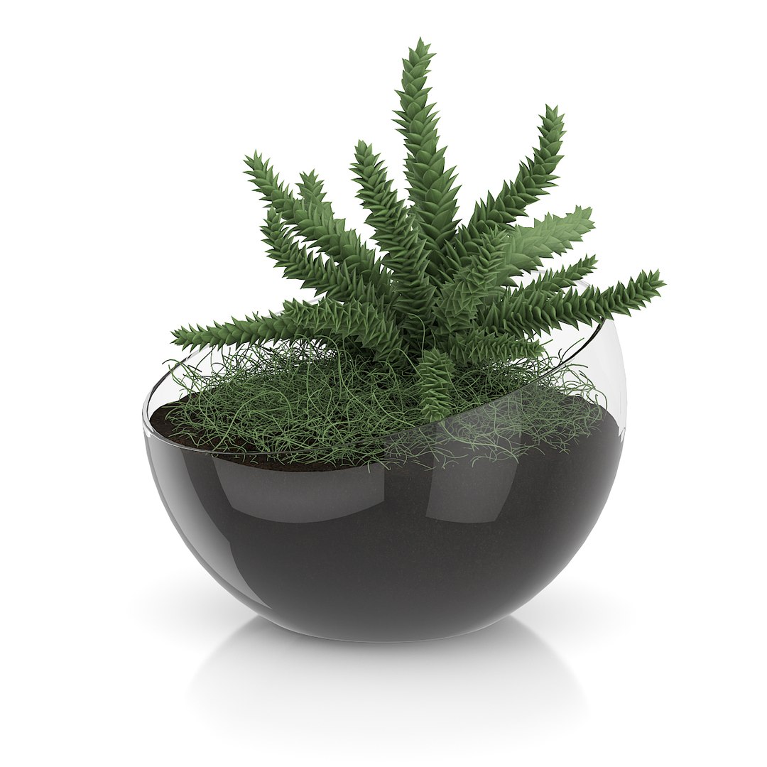 plant sphere glass pot 3d c4d
