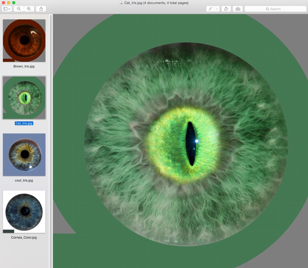 3ds eyeball eyes