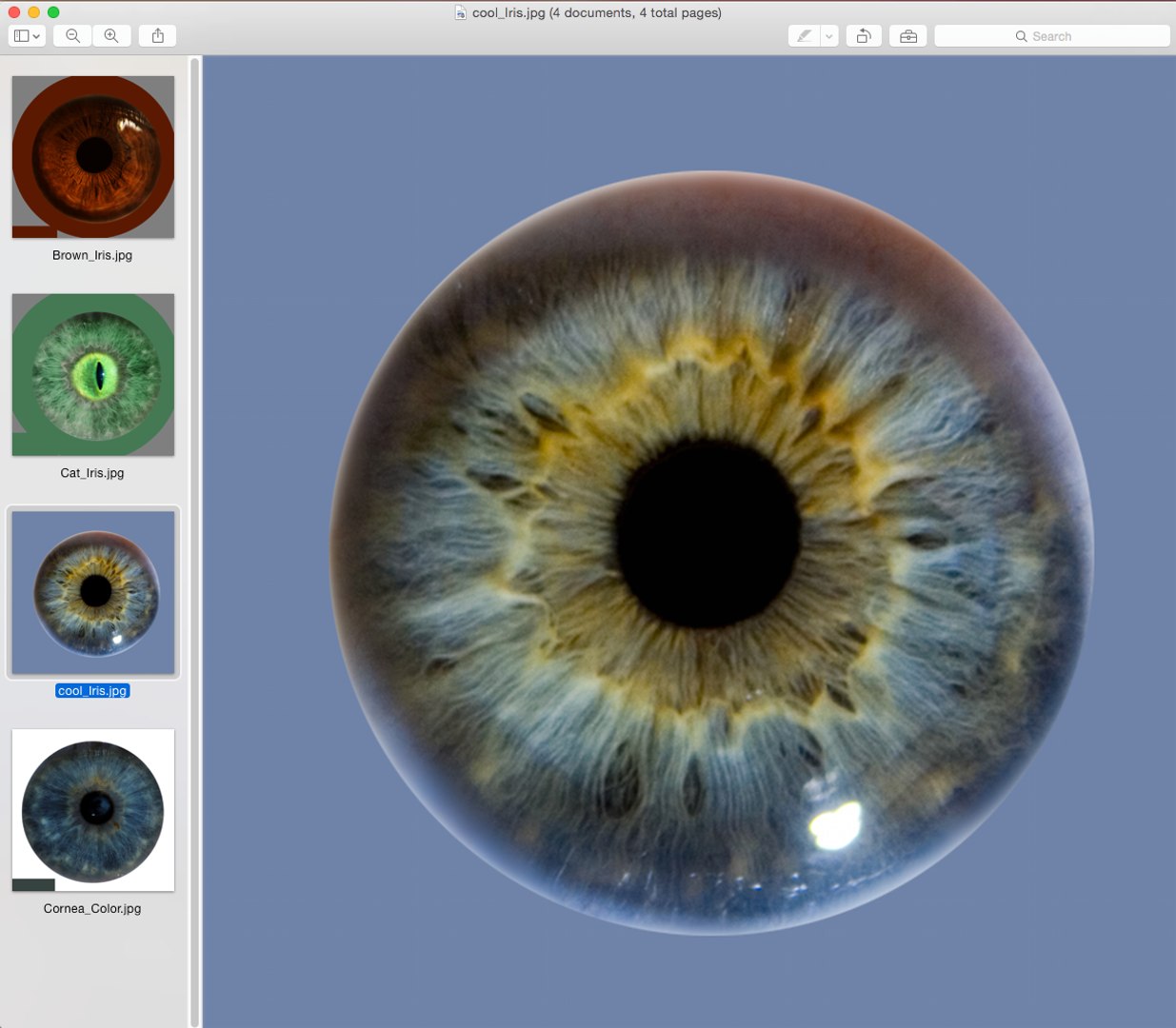3ds eyeball eyes