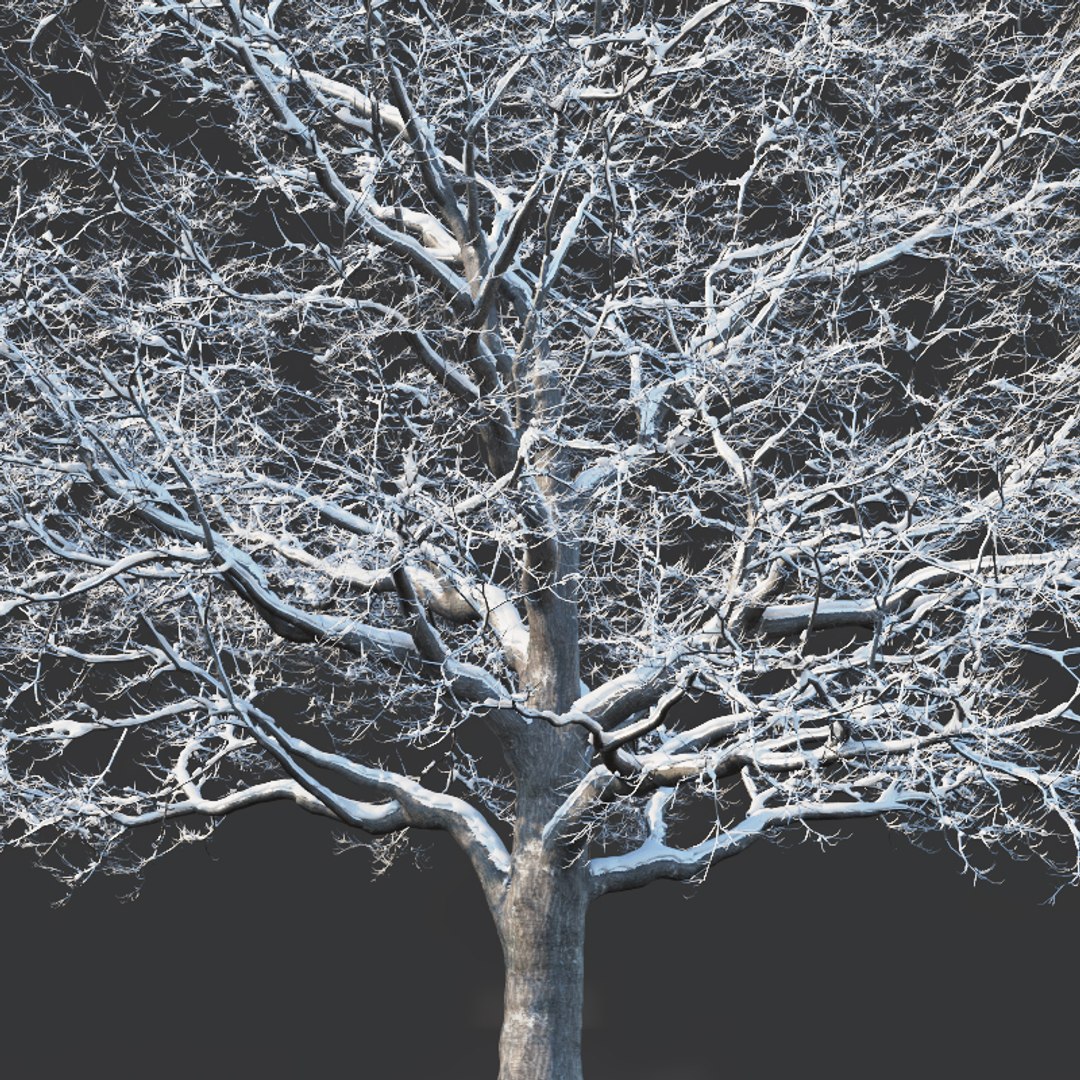 Oak Trees Model - TurboSquid 1657297