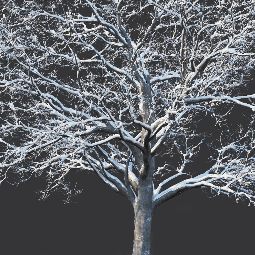 Oak Trees Model - TurboSquid 1657297