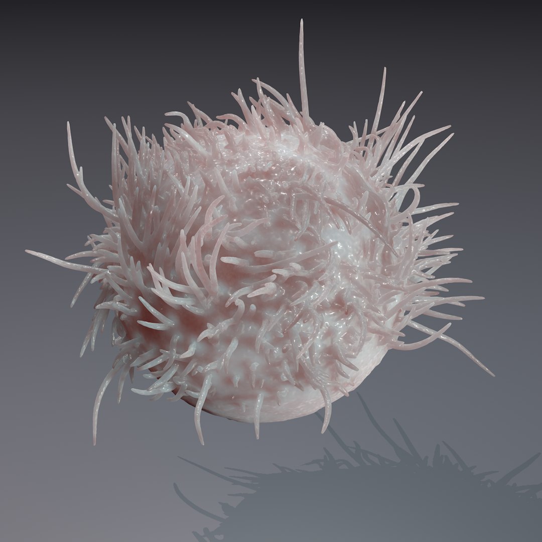 3D Model Cell Lymphocyte - TurboSquid 1398309