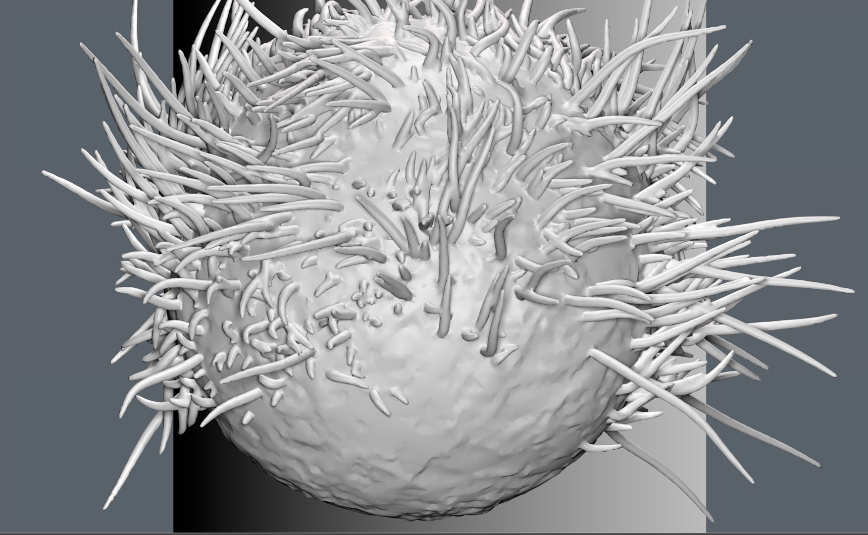 3D Model Cell Lymphocyte - TurboSquid 1398309