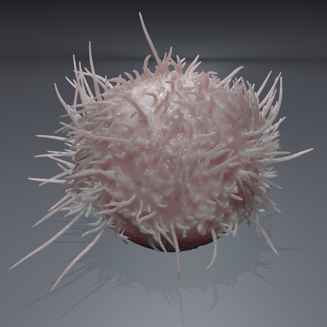 3D Model Cell Lymphocyte - TurboSquid 1398309