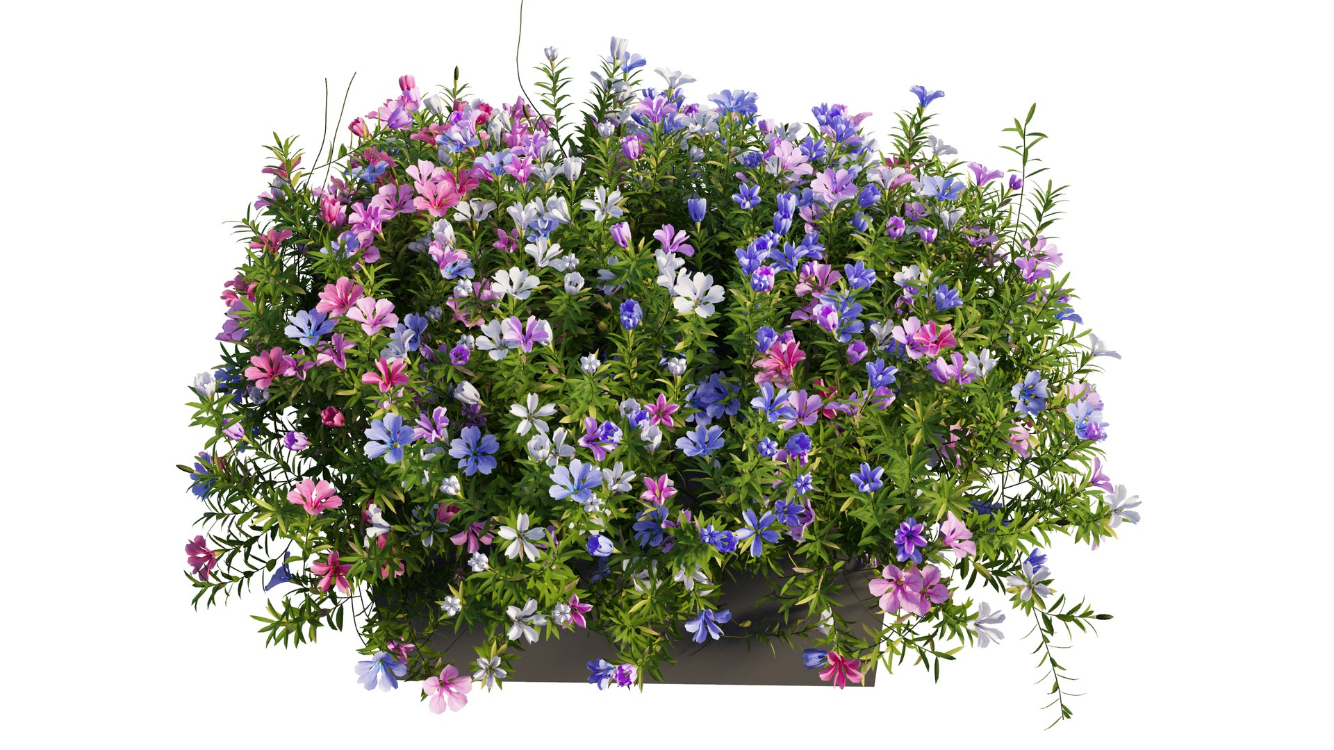 Plant Flower Set 04 Model - TurboSquid 1533562