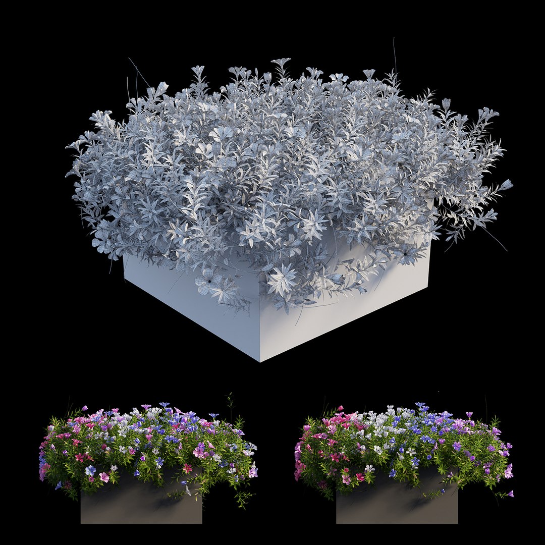 Plant Flower Set 04 Model - TurboSquid 1533562