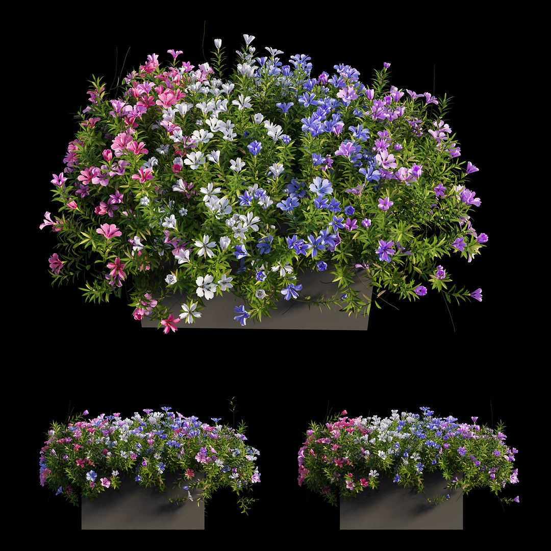 Plant Flower Set 04 Model - TurboSquid 1533562