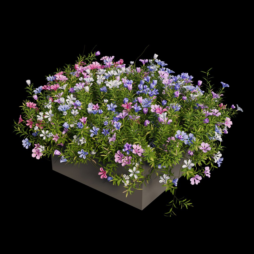 Plant Flower Set 04 Model - TurboSquid 1533562