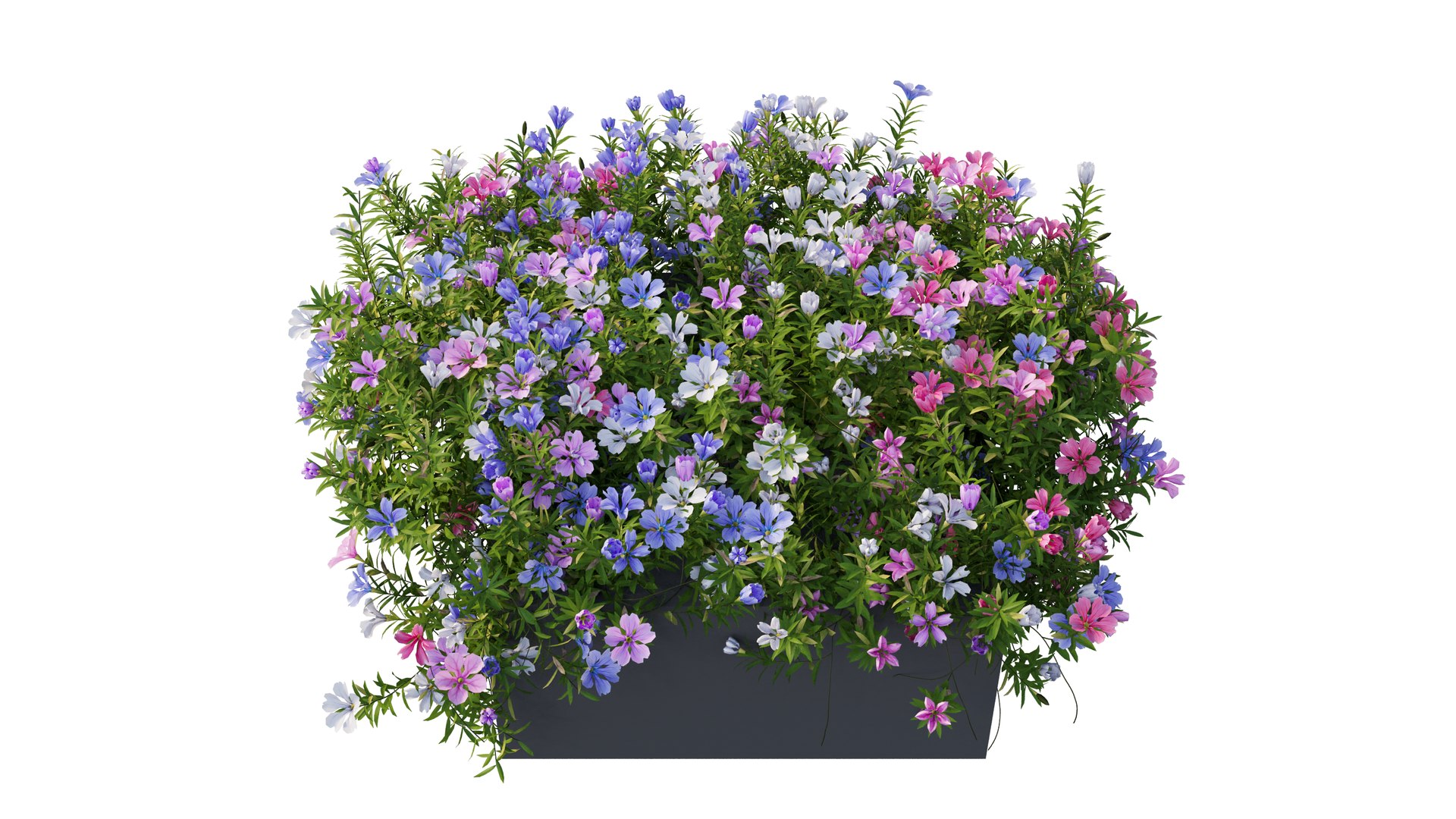 Plant Flower Set 04 Model - TurboSquid 1533562