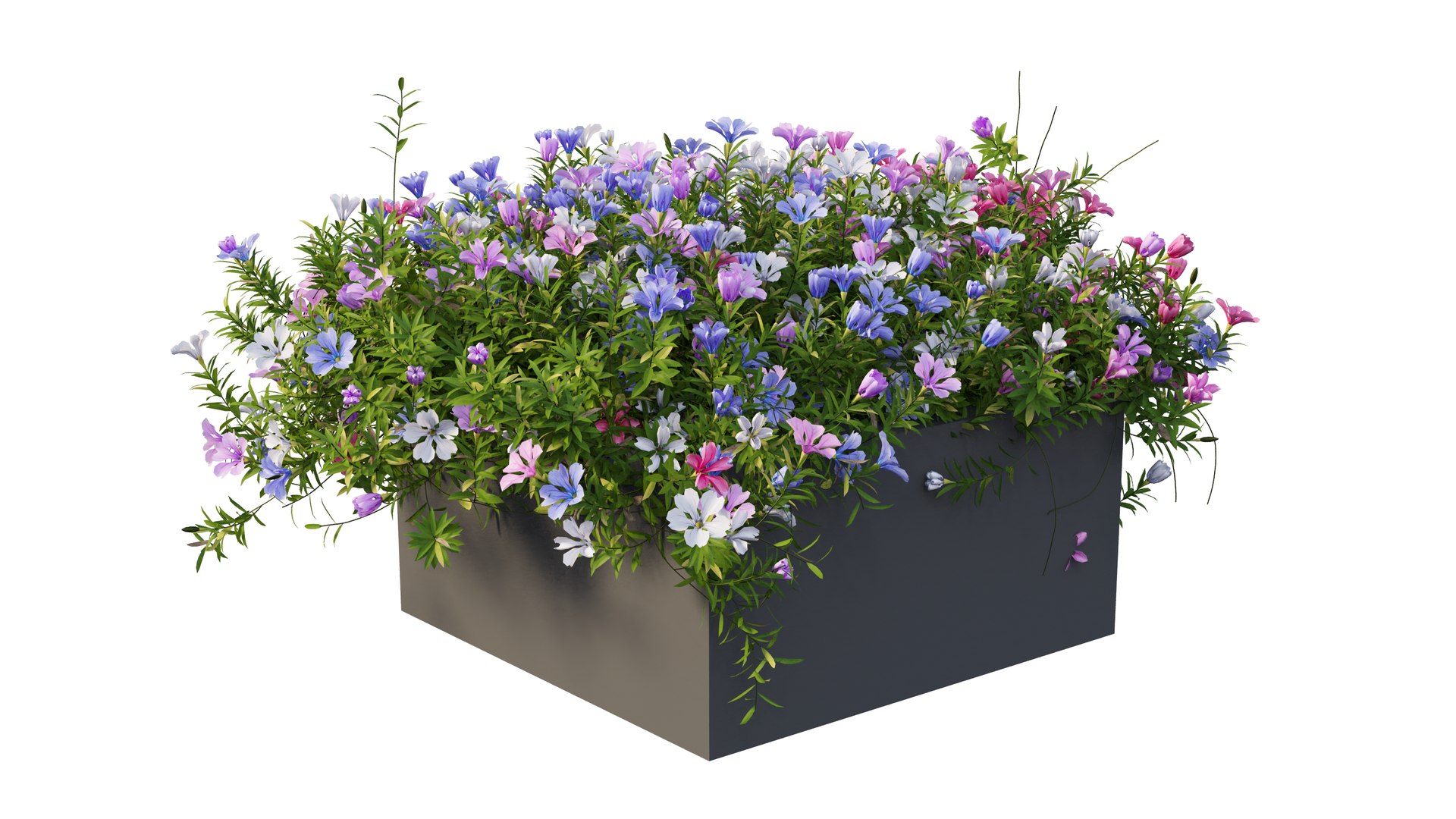 Plant Flower Set 04 Model - TurboSquid 1533562