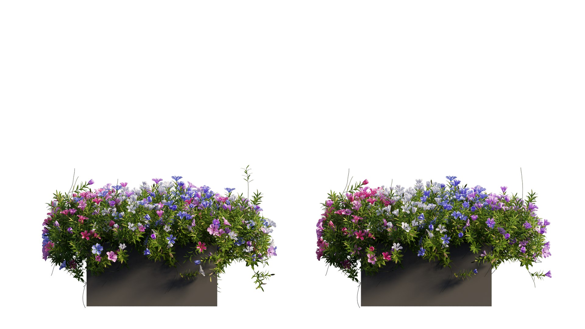 Plant Flower Set 04 Model - TurboSquid 1533562